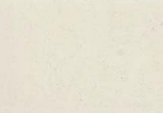 Lime Wash - Neutral