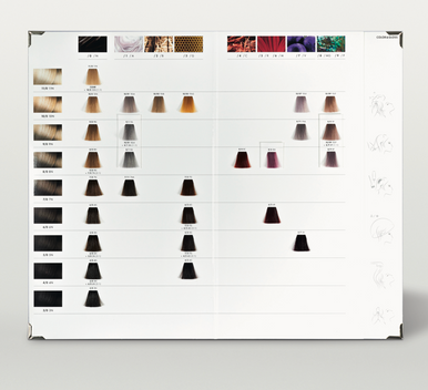 Color & Gloss color chart NEW