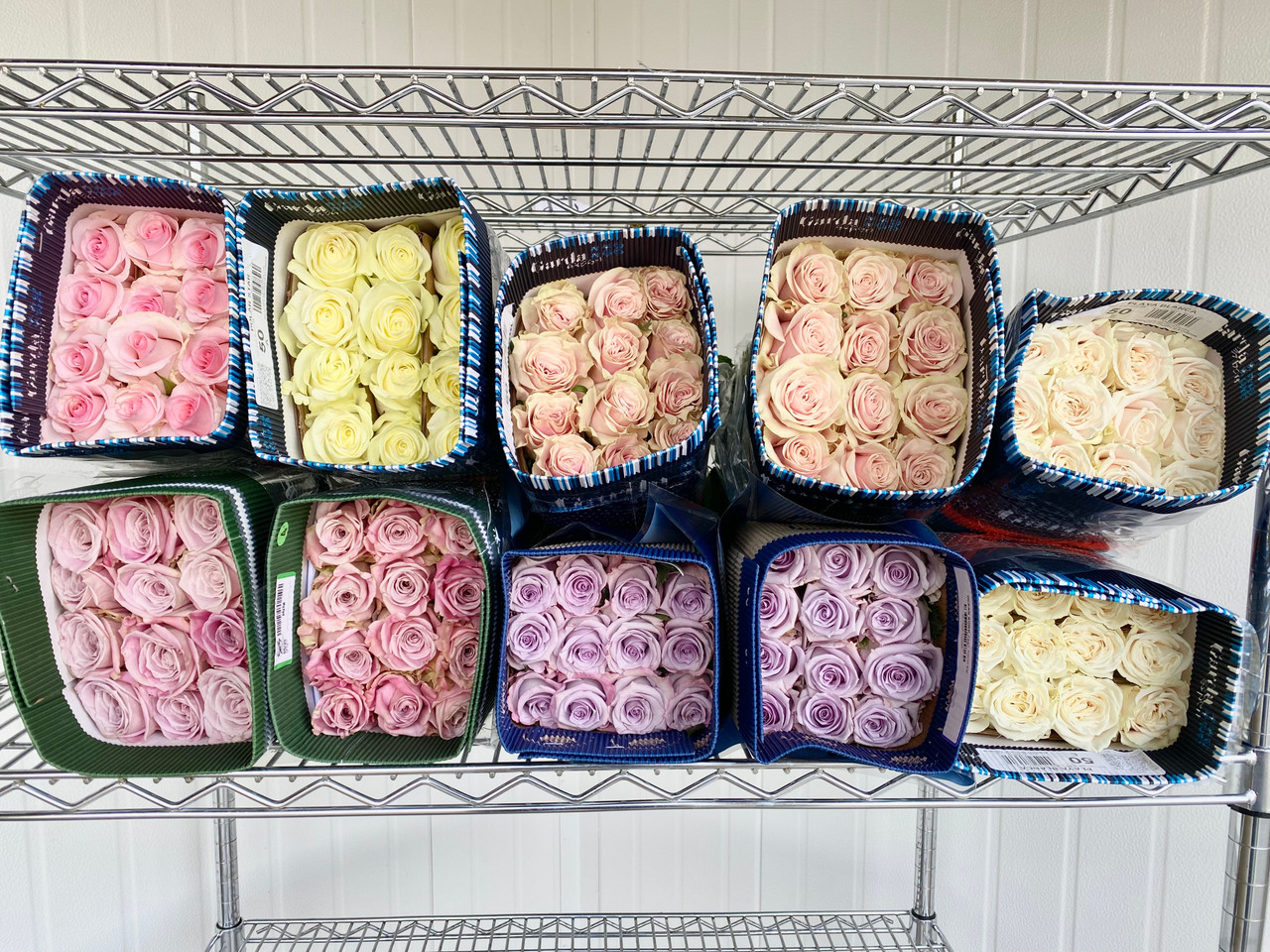 Ecuadorian Roses Products - Ramirez Wholesale Flowers Inc
