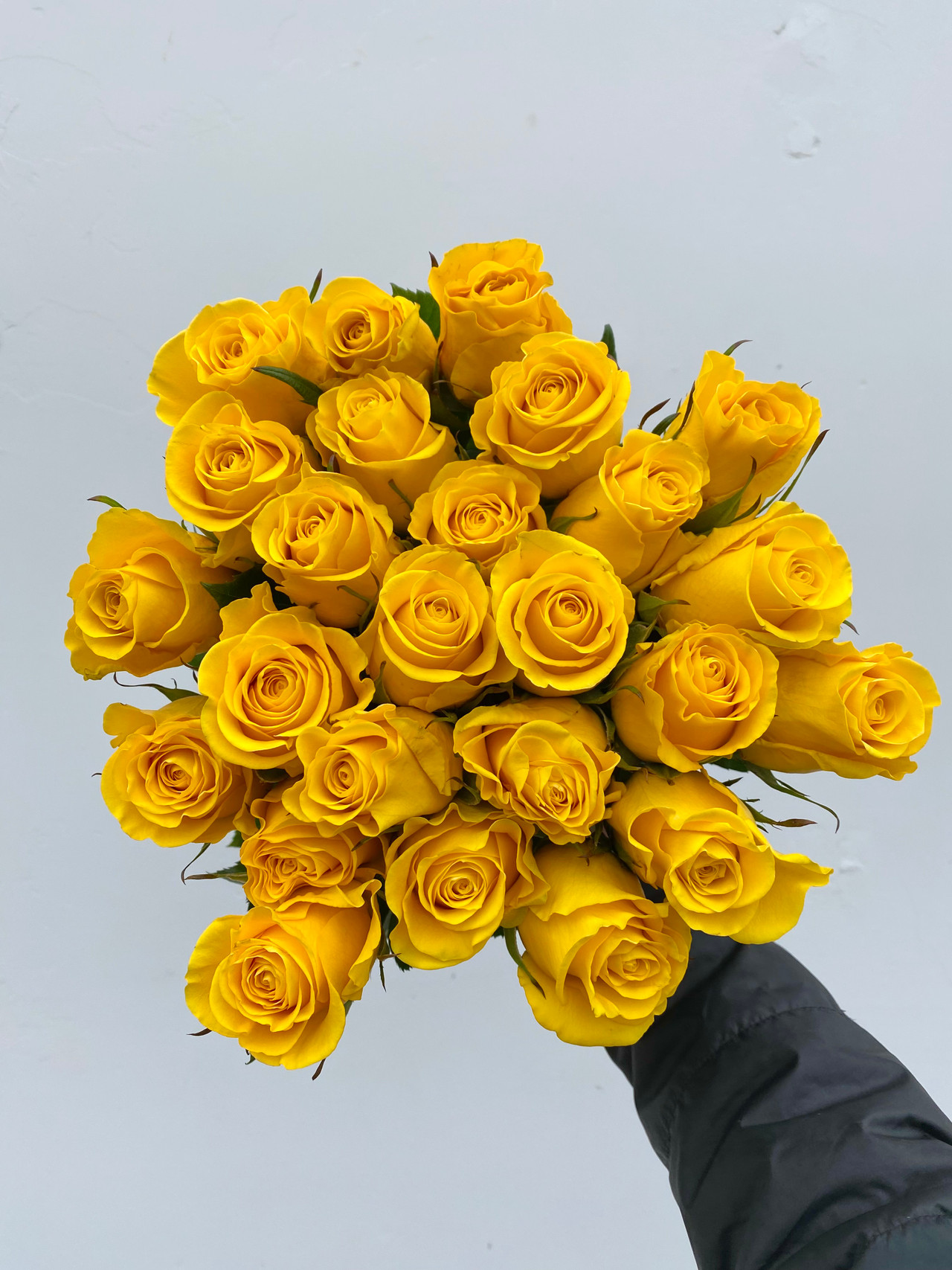 Shimmer Roses - 25 stems