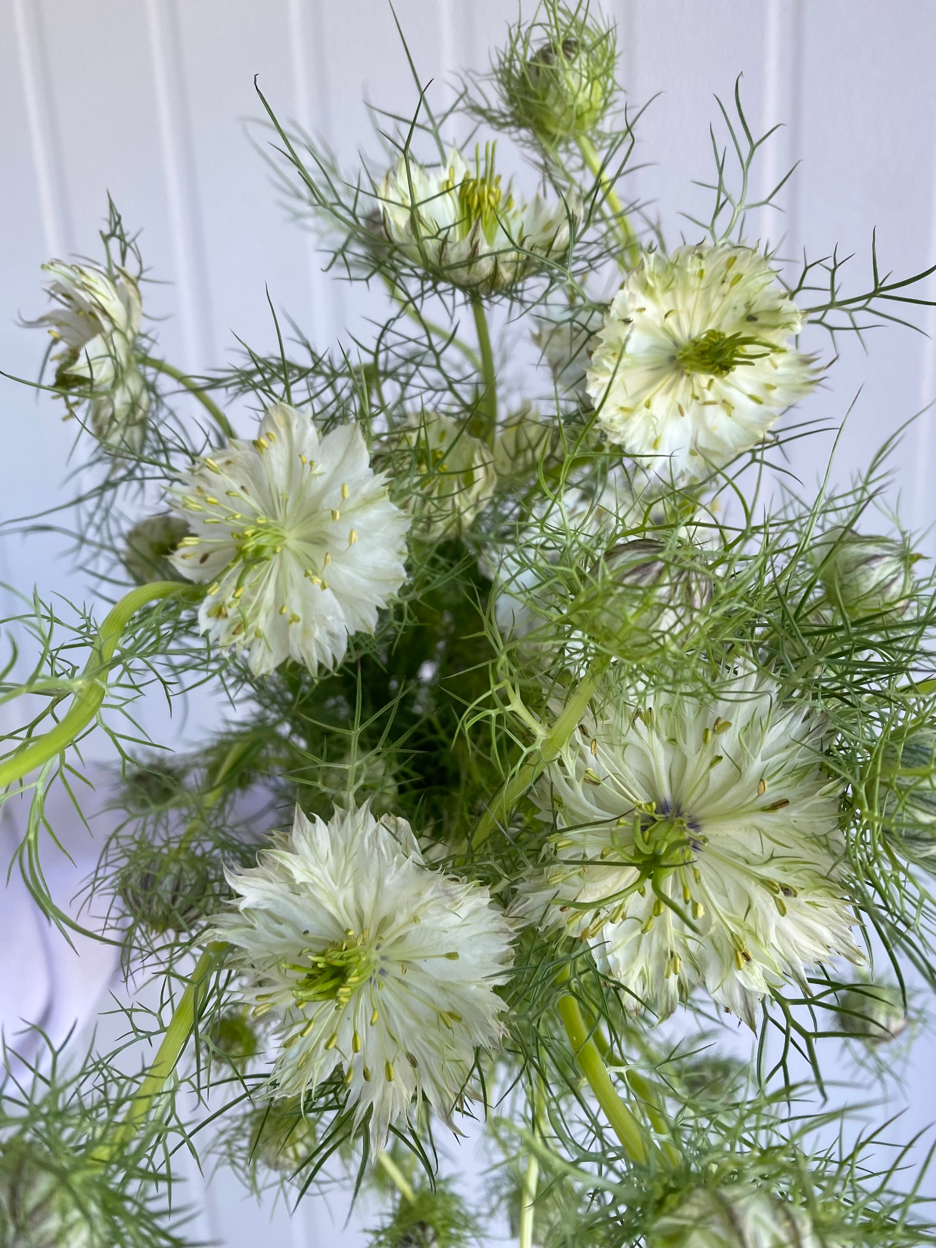 Ramirez Wholesale Flowers Inc