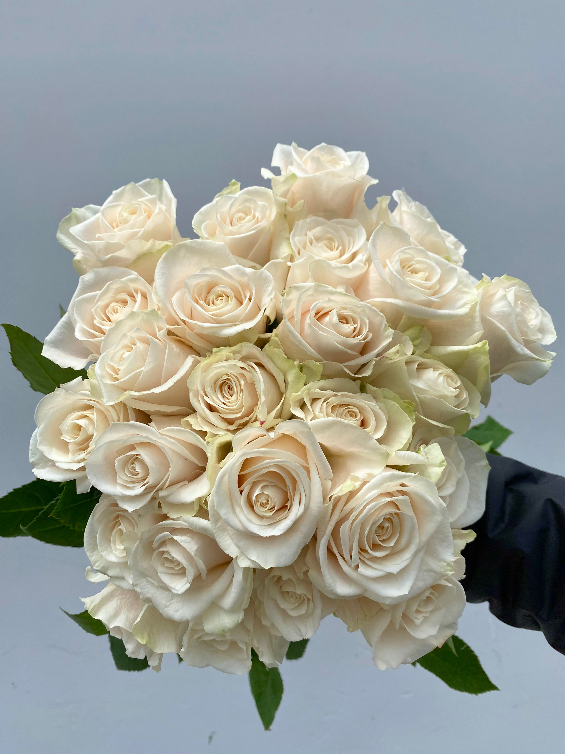 Shimmer Roses - 25 stems