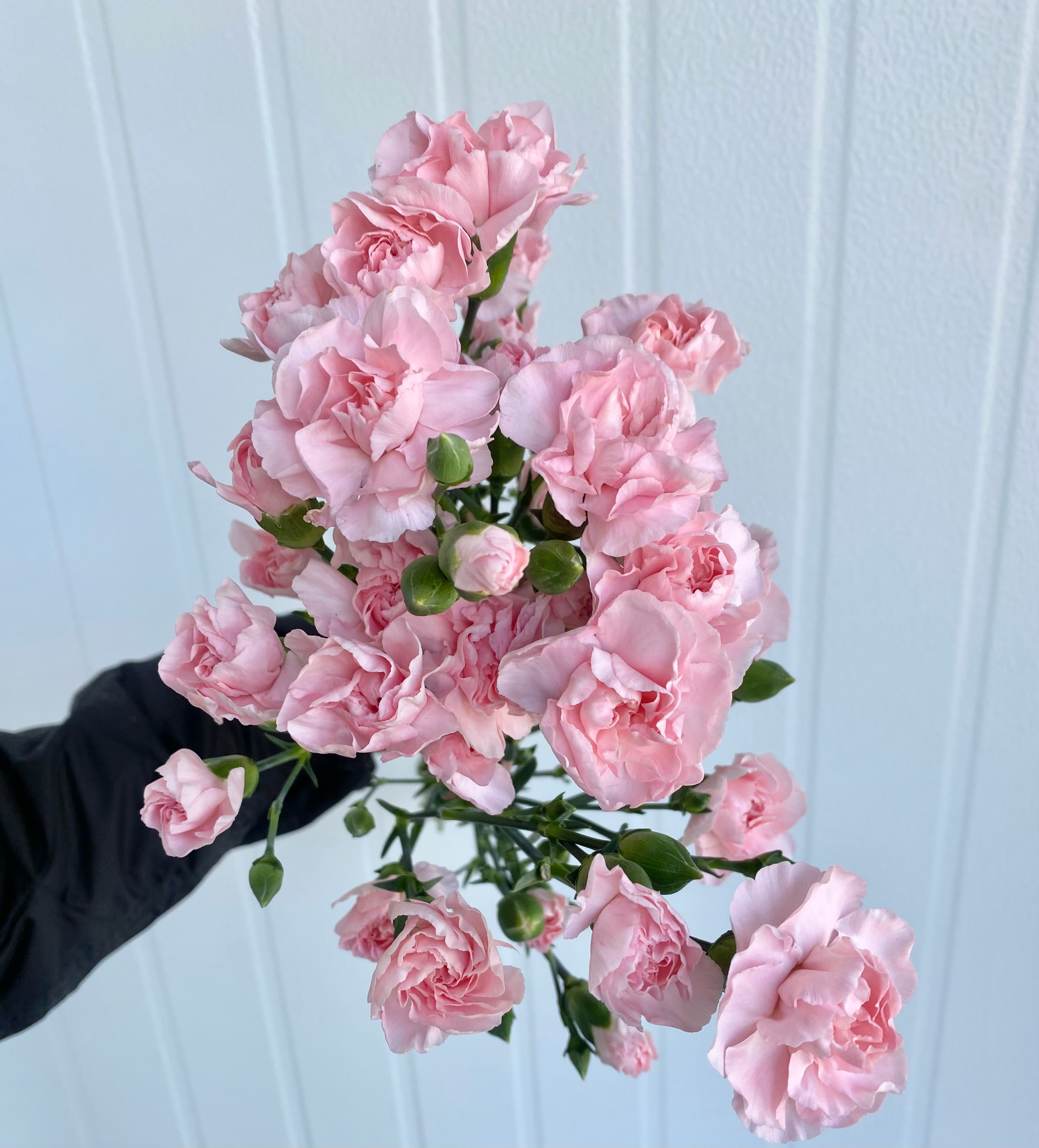 Ramirez Wholesale Flowers Inc