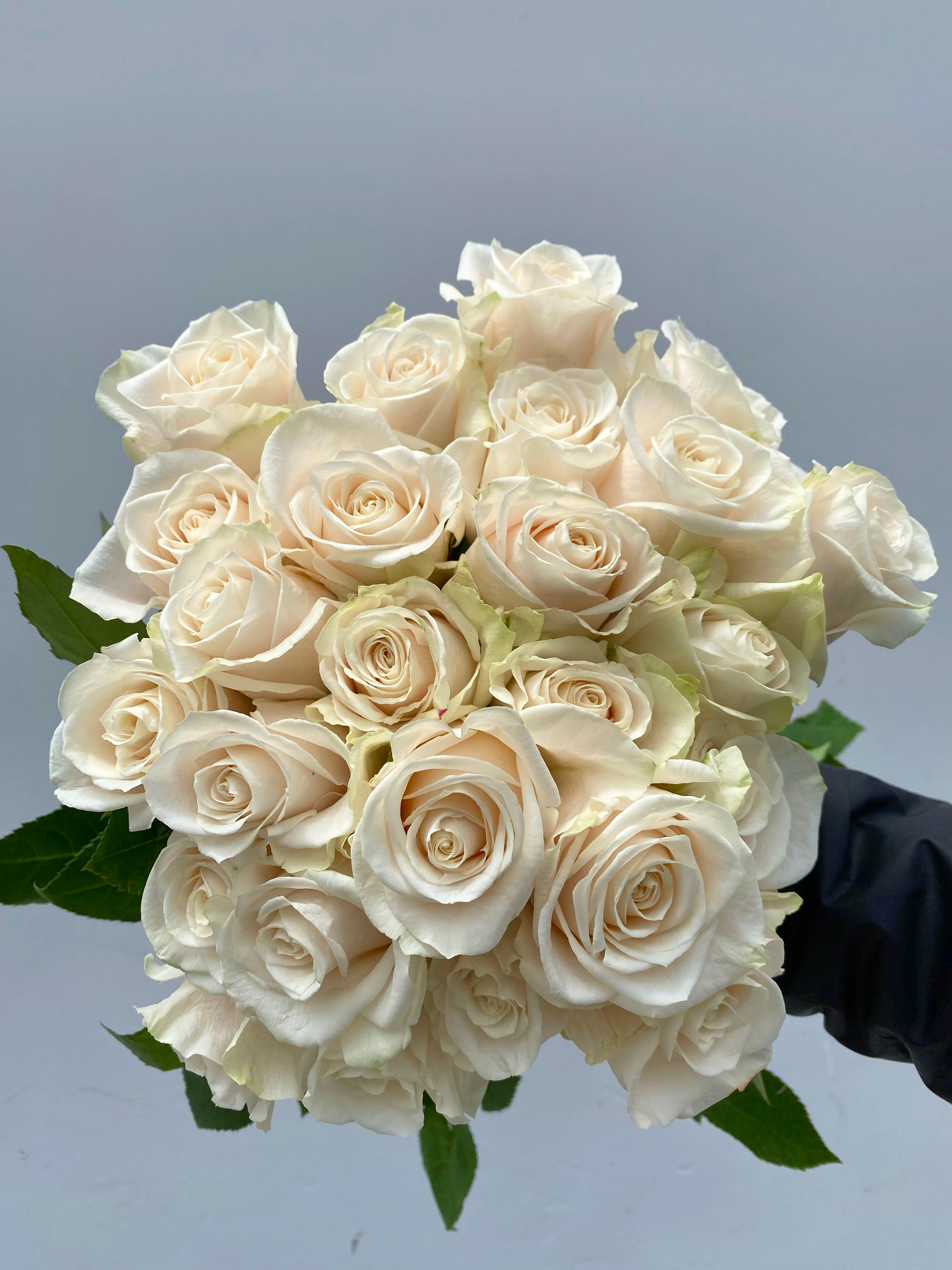 Shimmer Roses - 25 stems