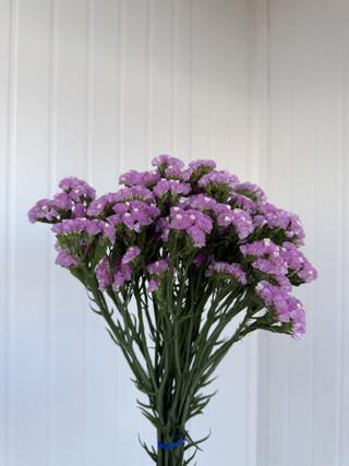 Ramirez Wholesale Flowers Inc
