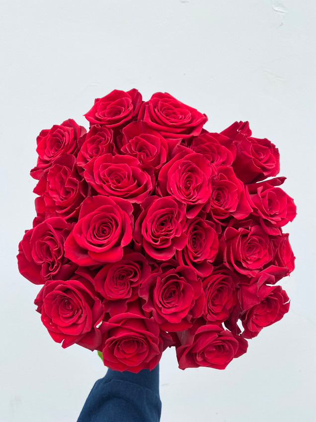 Freedom Roses (Red) - 25 stems