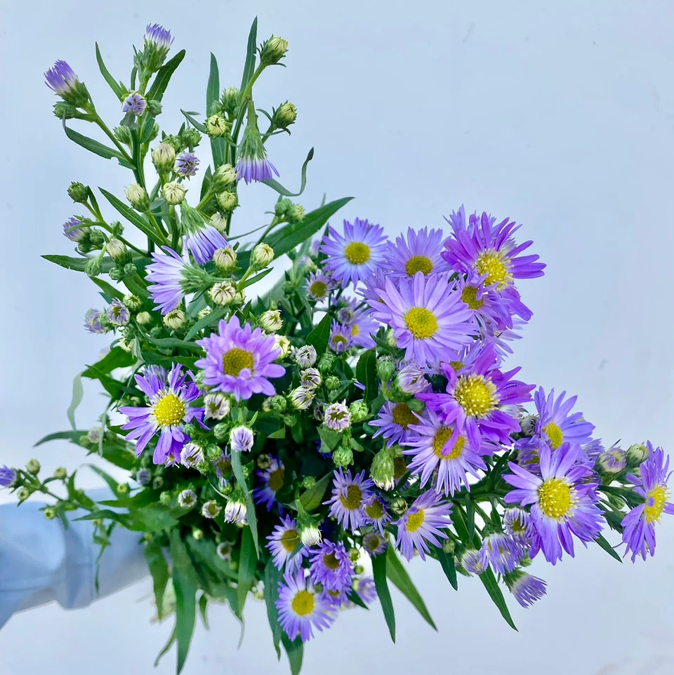 Ramirez Wholesale Flowers Inc