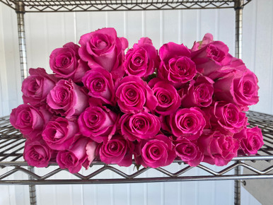 Topaz Roses - 25st. - Ramirez Wholesale Flowers Inc