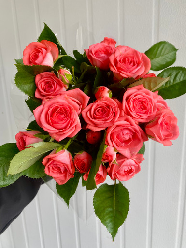 Garden Spray Rose Nemo Ca-Grown - 8st. - Ramirez Wholesale Flowers Inc