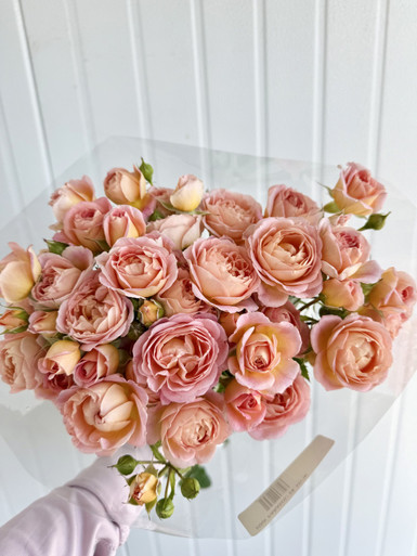 Garden Spray Roses Pink Parasol - 7st. - Ramirez Wholesale Flowers Inc