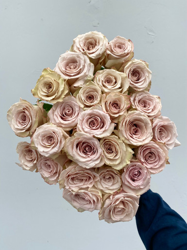 Quicksand Roses - 25 stem