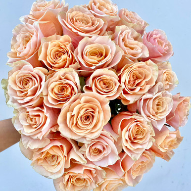 Pheonix Rose - 25st - Ramirez Wholesale Flowers Inc