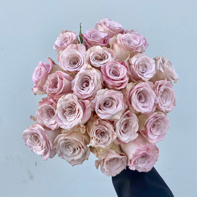Faith Rose - 25st - Ramirez Wholesale Flowers Inc