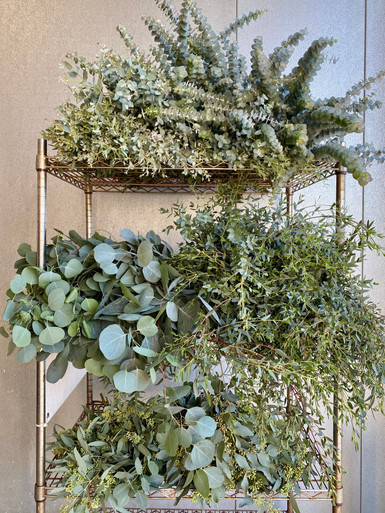 Eucalyptus CA-Grown Box - 20 bu. - Ramirez Wholesale Flowers Inc