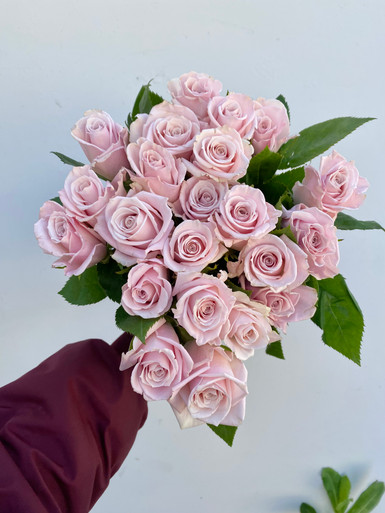 Sweet Escimo Roses - 25st. - Ramirez Wholesale Flowers Inc