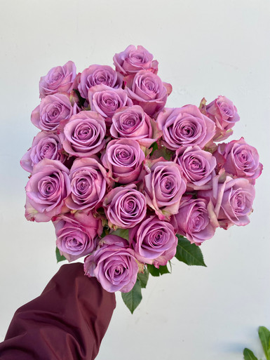 Cool Water Roses - 25st. - Ramirez Wholesale Flowers Inc