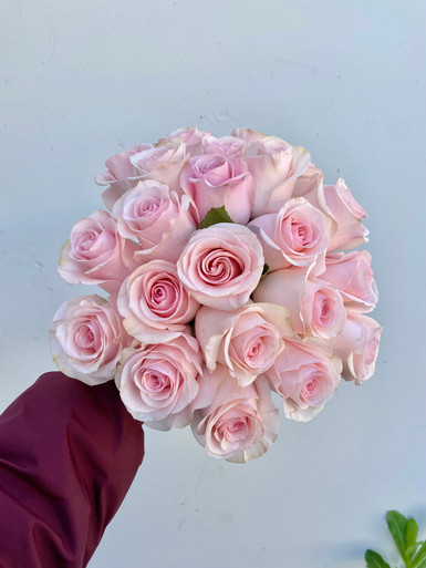 Novia Roses - 25st. - Ramirez Wholesale Flowers Inc