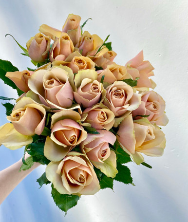 Golden Mustard Roses - 25st. - Ramirez Wholesale Flowers Inc