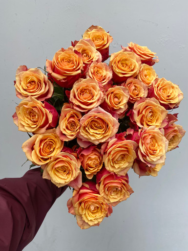 Cherry Brandy Roses - 25st. - Ramirez Wholesale Flowers Inc
