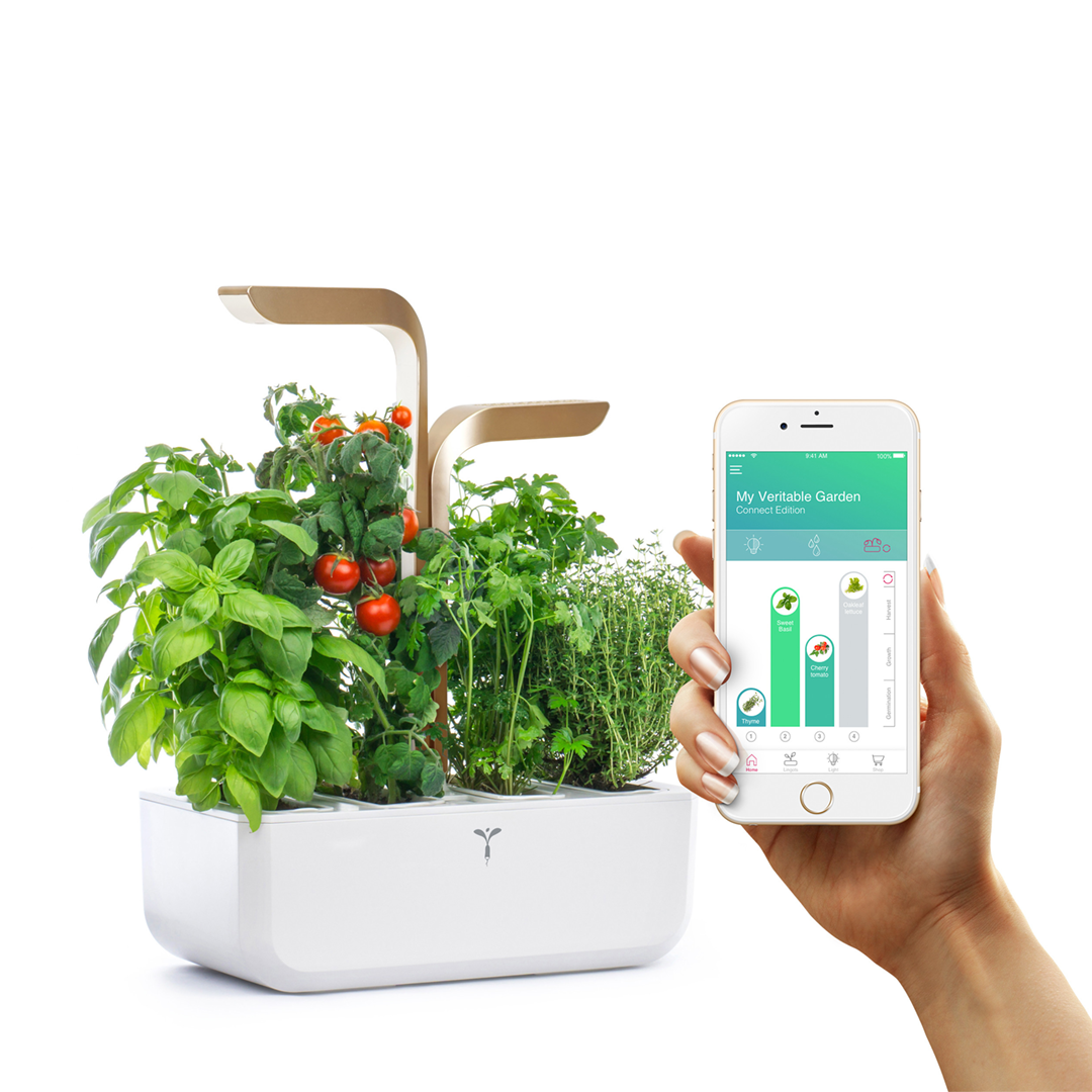 Veritable Connect Smart Home Garden Moonlight Gold | Juicers.ie