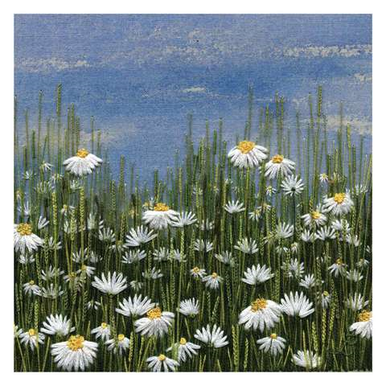 Jo Butcher - Daisy Meadow - McMillan Cards & Paper