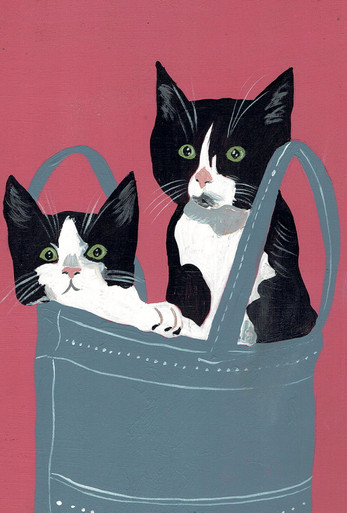 Javier Mayoral - Cats In A Bag - McMillan Cards & Paper