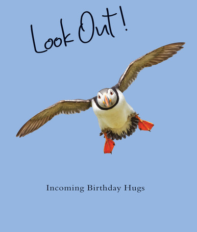 Animaltastic HB- Incoming Birthday Hugs - McMillan Cards & Paper