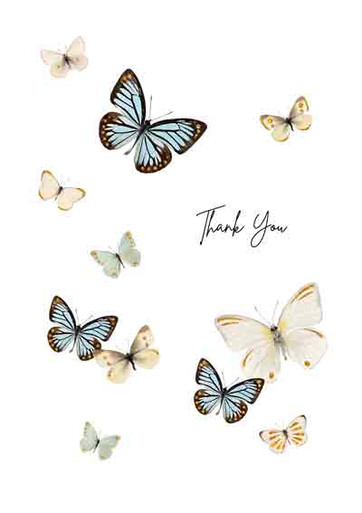 FDS TY- Butterflies - McMillan Cards & Paper