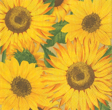 RHS Sunflowers - McMillan Cards & Paper