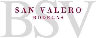 Bodegas San Valero Garnacha Cabeza Casa - Artale & Co