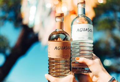 Aguasol Blanco Tequila 750ml - Artale & Co