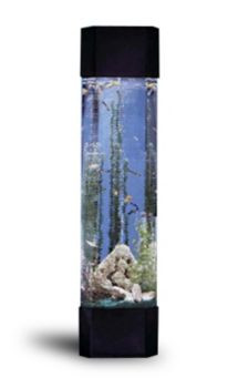 Midwest Tropical Custom Water Features