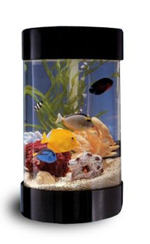 Midwest Tropical Custom Water Features