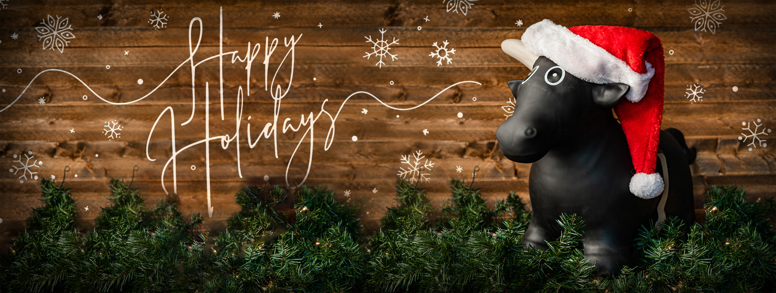 Beastmaster Rodeo Gear, Rodeo Equipment, and Rodeo Products