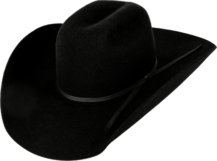 Beastmaster Youth Cowboy Hat Felt 3X - Bull Rider Black - Beastmaster ...