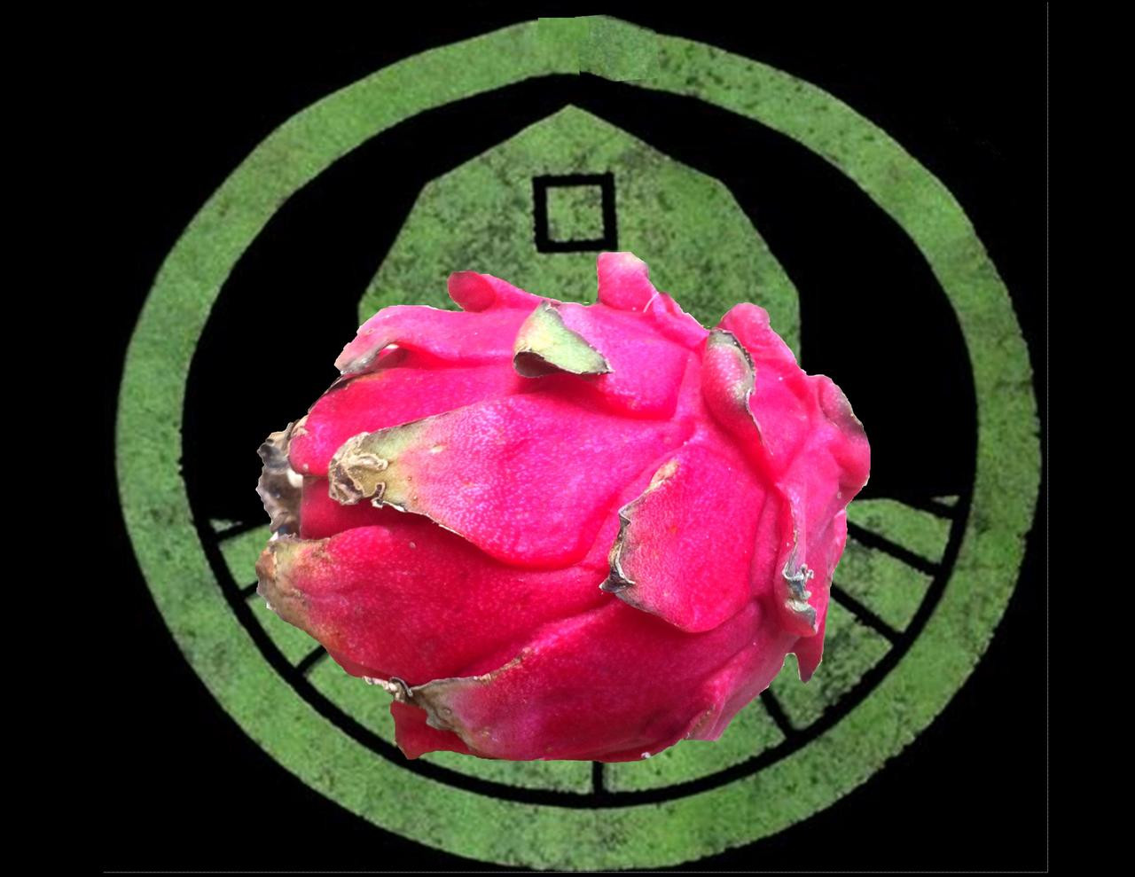 Dragon Fruit Seeds | Tyler Farms