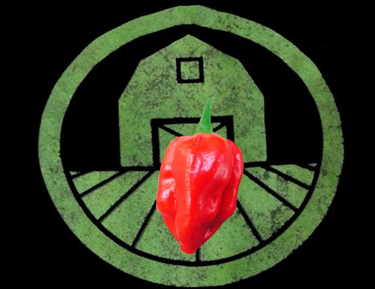 Red Savina Habanero Pepper Live Plant | Tyler Farms
