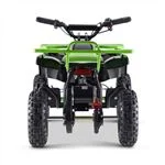 Green Rancher Style 36v Battery 1000w Kids Ride On ATV Quad - Kids ...