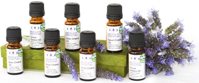 Absolute Essential Chakra Oil Set (Organic)
