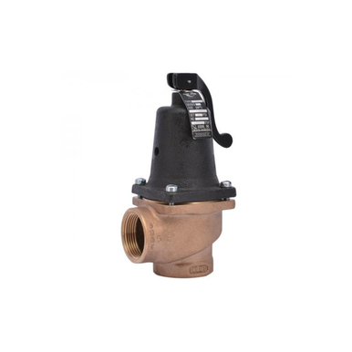 Cash Acme 13570-0100 F-82 3/4" Pressure-Only Safety Relief Valve 100 PSI