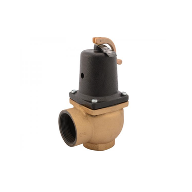 Cash Acme 13570-0100 F-82 3/4" Pressure-Only Safety Relief Valve 100 PSI