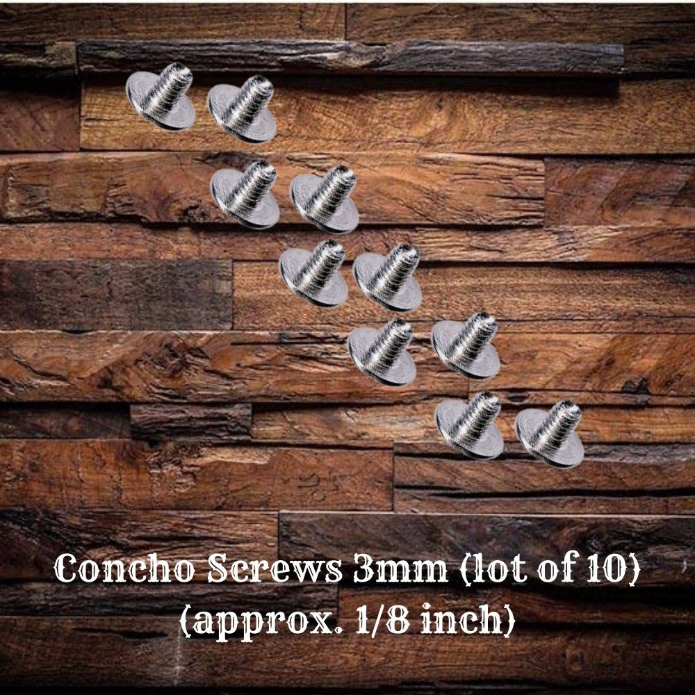 Concho Screws 3mm (lot of 10) - Texas Uniques Store