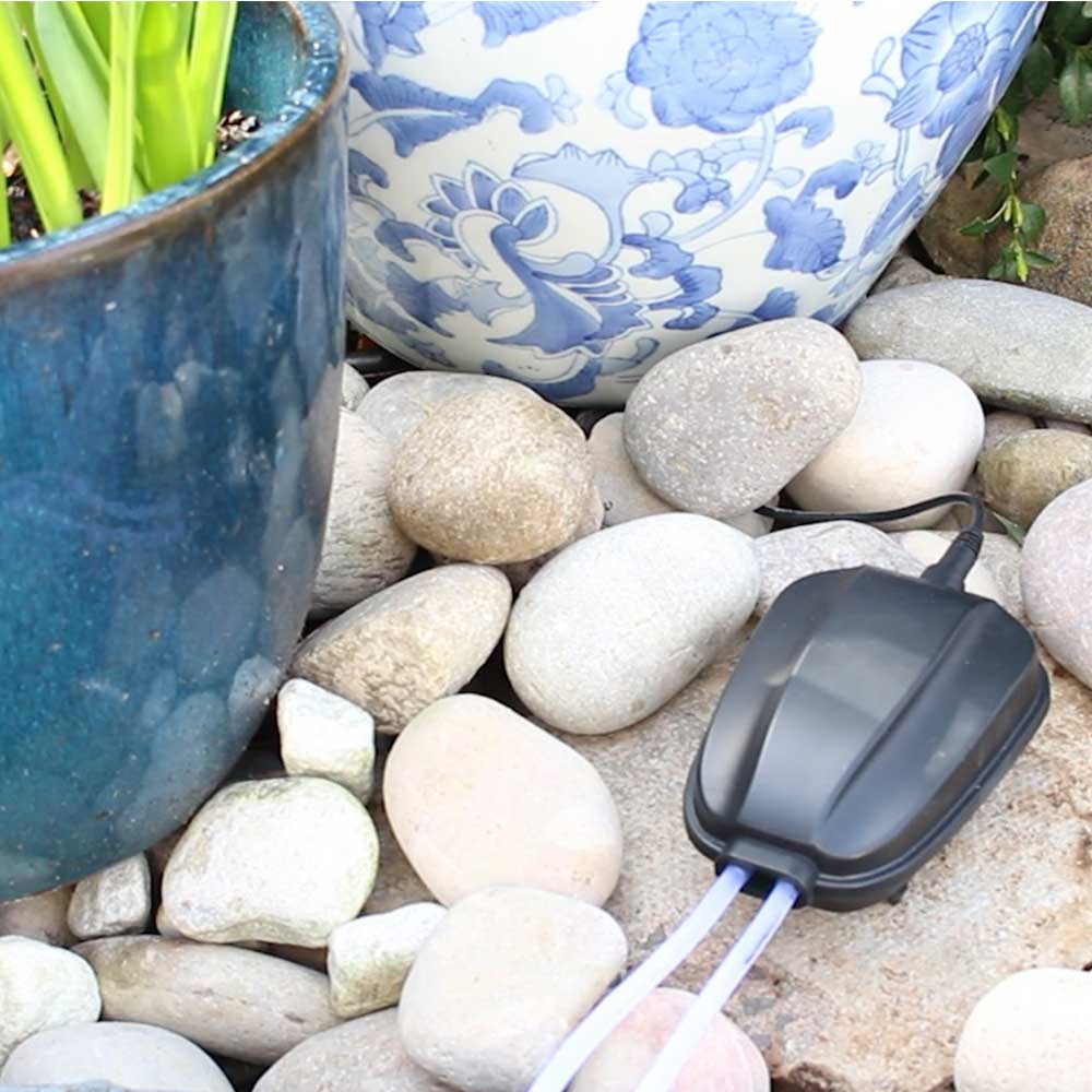Heatwave Must Haves for Pond Owners - World of Water Aquatic Centres
