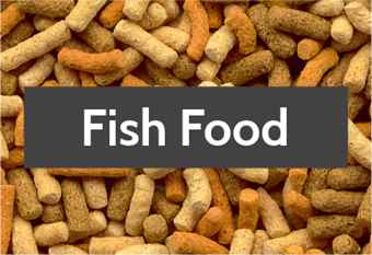 The Pond Experts | UK Stores | Fast Delivery | Price Promise