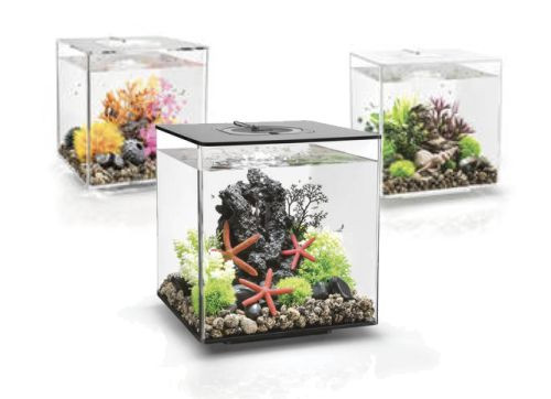 Cube 30 biOrb Aquarium | LED Multi Colour Remote | Deals | Fast Delivery