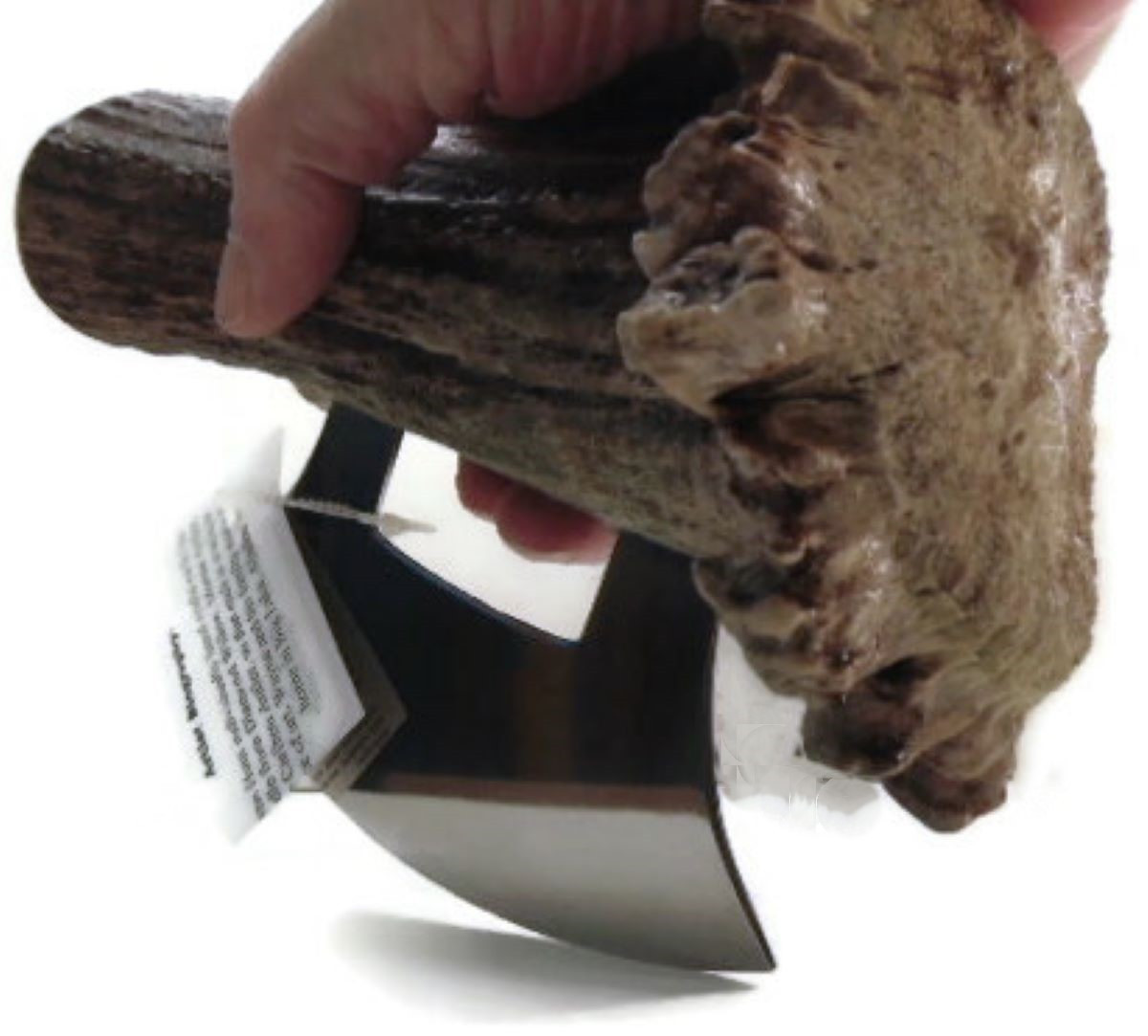 Colossal Alaskan Natural Moose Antler Ulu Knife with Antler stand-- (SC ...