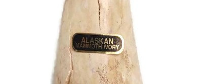 Mammoth Tusk Ink Drawing of Alaska Scene Signed by Artist Tom W.