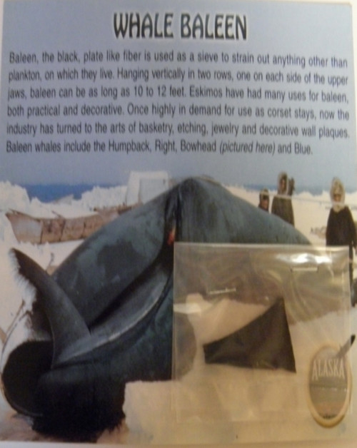 Educational Card (4.5 X 6.5 In.) Alaskan Whale Baleen w/ History and ...
