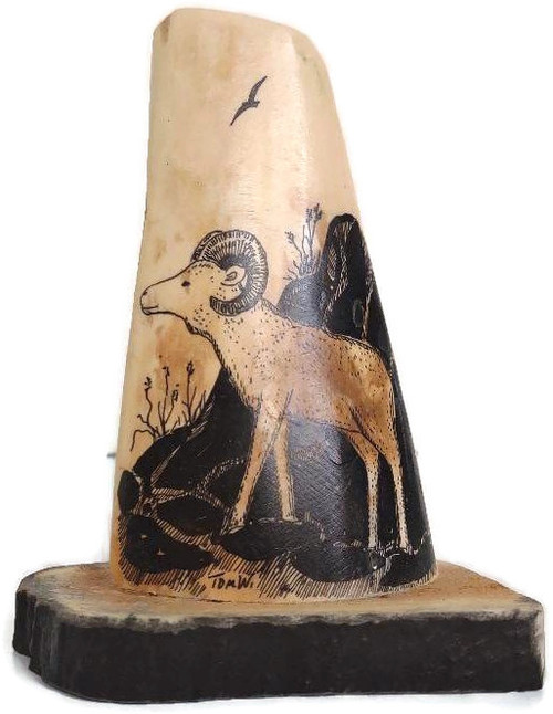 Mammoth Tusk Ink Drawing of Dall Sheep Signed by Artist