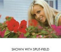 HOYA 58MM Split Field Filter at Ace Photo